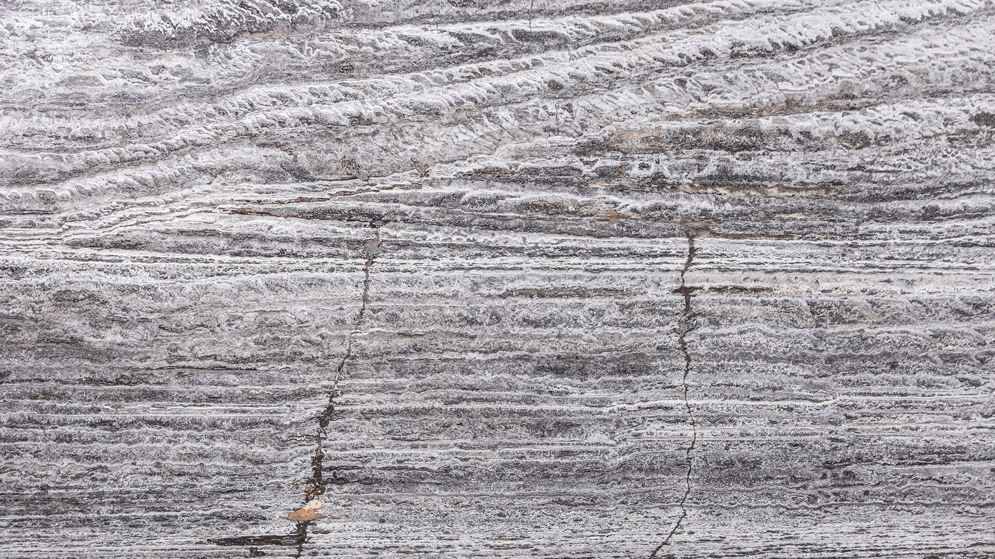 Light Silver Travertine - SHC | SMG