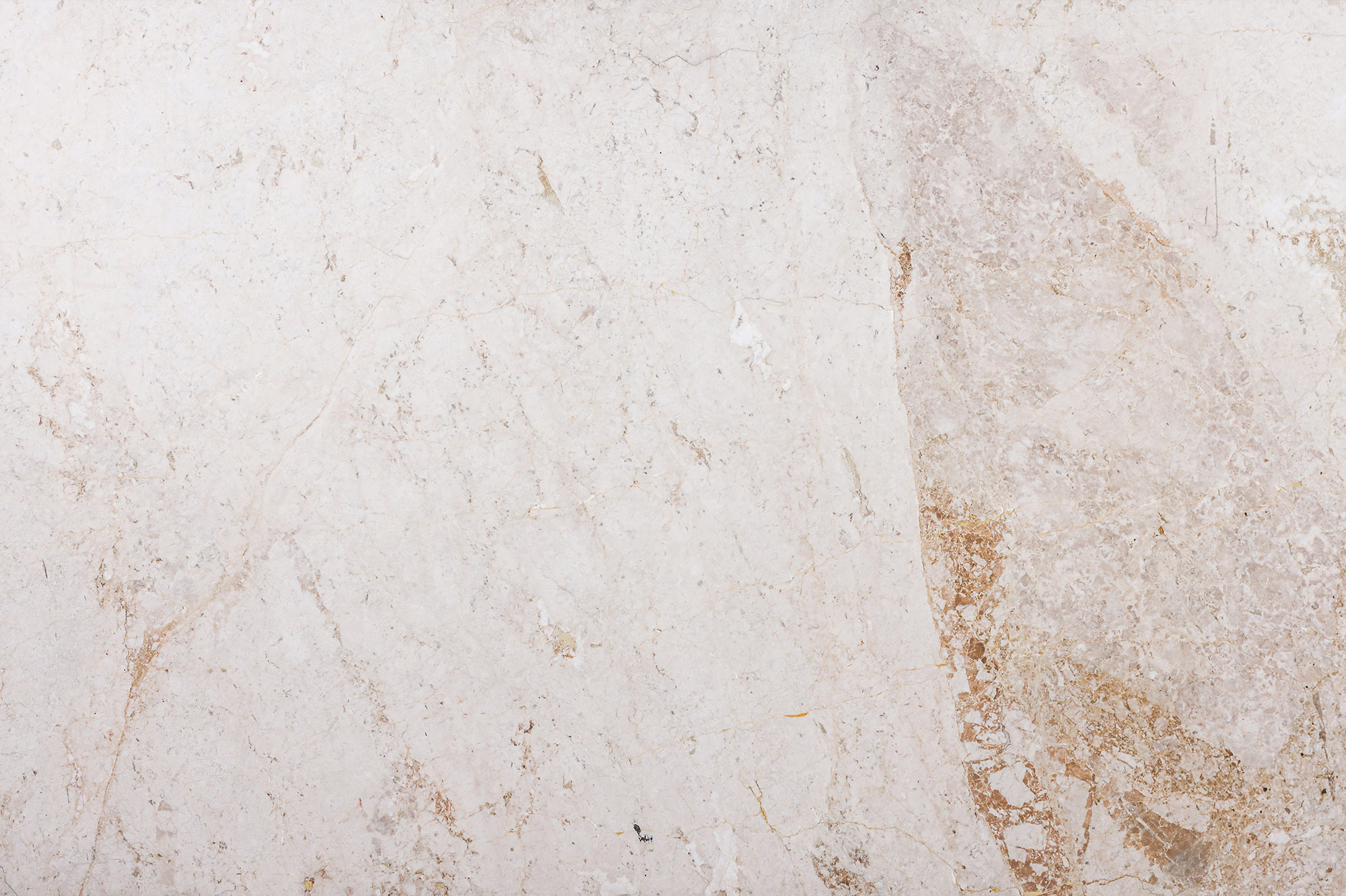 Cappuccino Marble – SHC | SMG