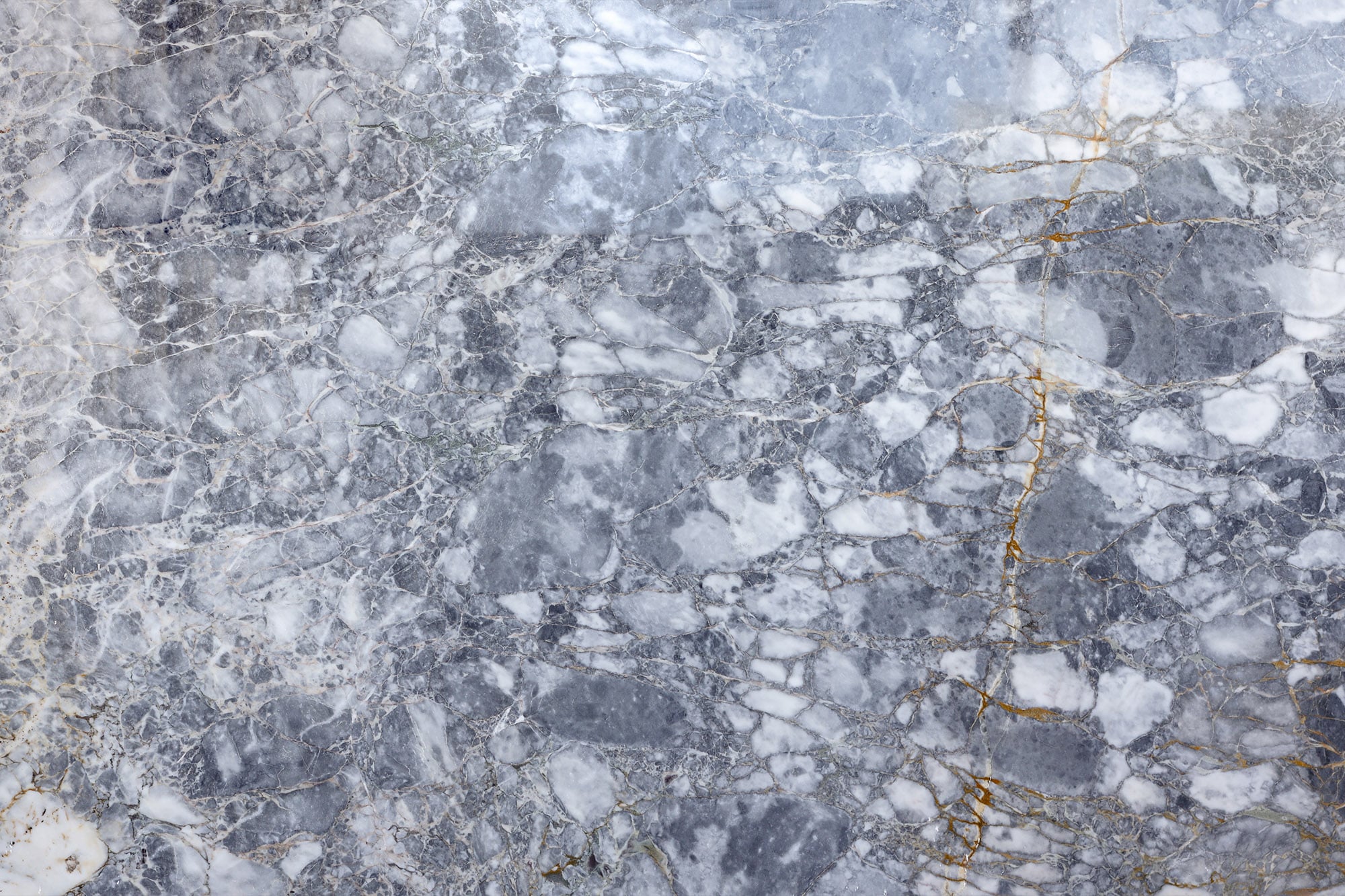Forest Grey – SHC | SMG